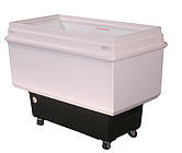 Artic Star Freezer/Refrigerator Display Case - Syracuse, NY - Taylor ...